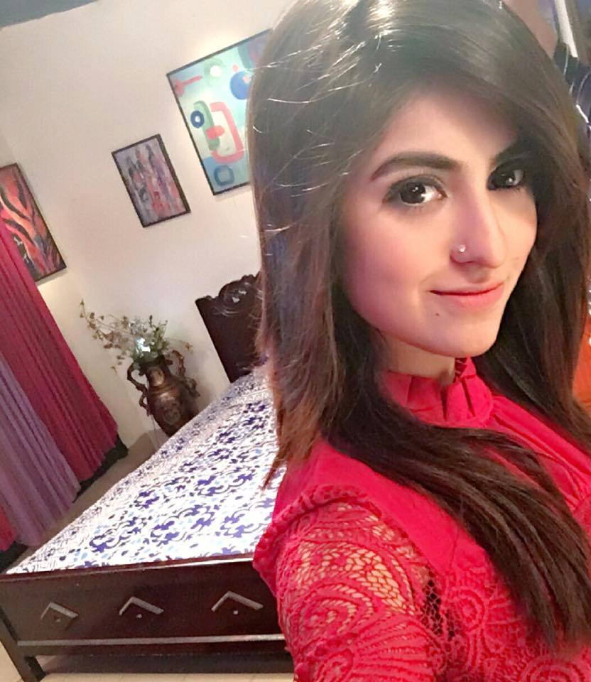 আনিকা কবির শখ